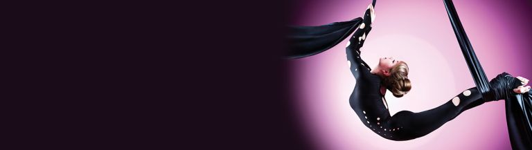 The Leader in Flat Cable Technology - Cicoil